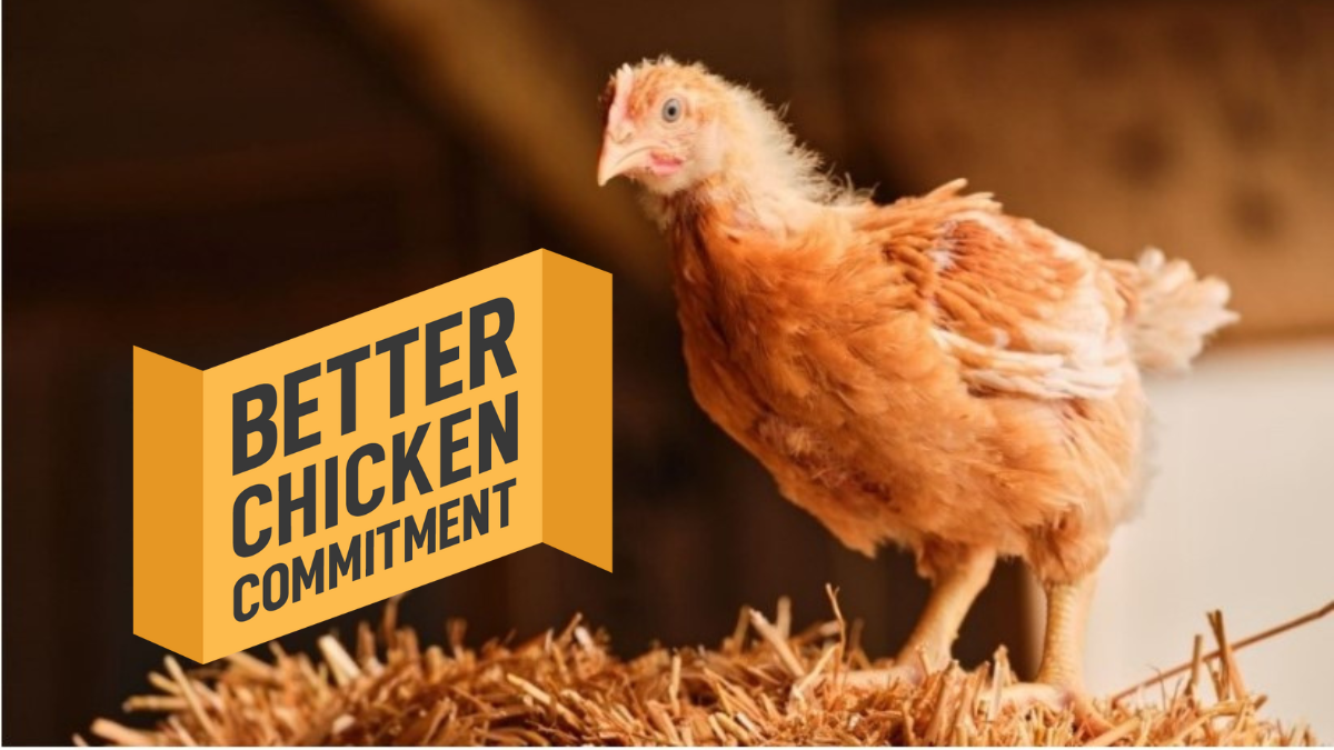 HelloFresh joins the Better Chicken Commitment in NZ