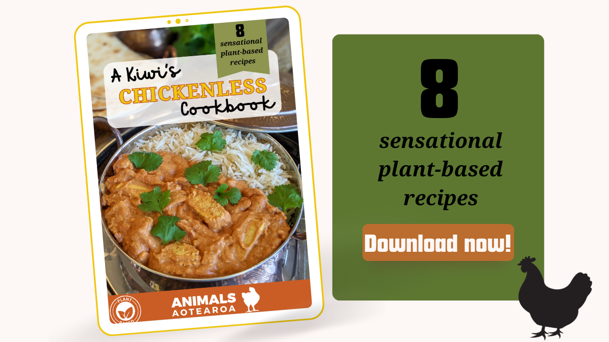 Plant Based Chicken Alternatives